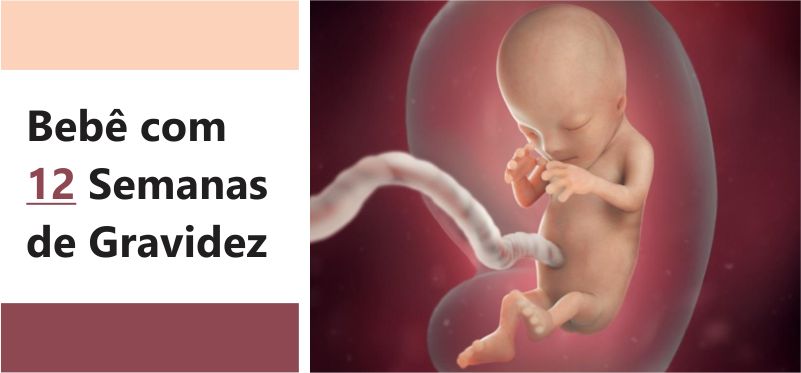 Gestação de 11 a 12 Semanas: fotos da barriga