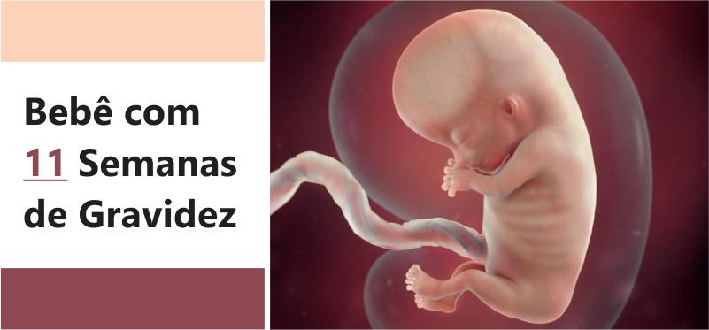Gestação de 11 a 12 Semanas: fotos da barriga