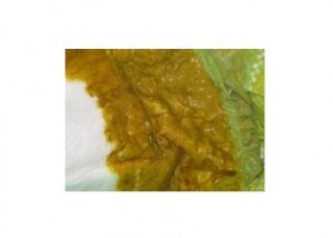 Como saber se o cocô do bebê está normal?