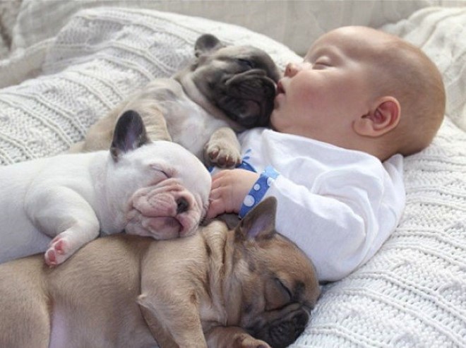 15 fotos de bebês com cachorro dormindo