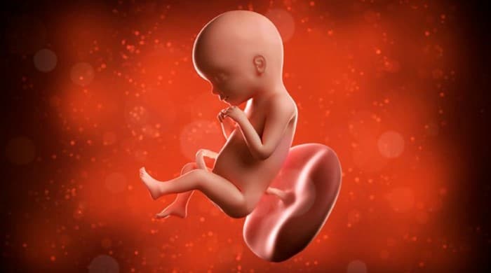 20 semanas de gravidez