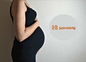 28 semanas de gravidez