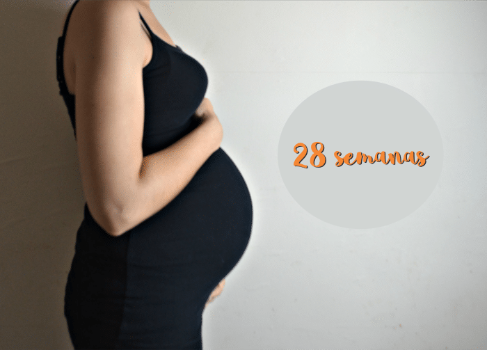 28 semanas de gravidez
