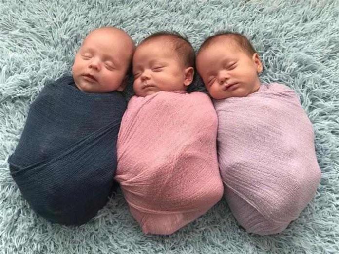 Trigêmeos: tudo o que você precisa saber!